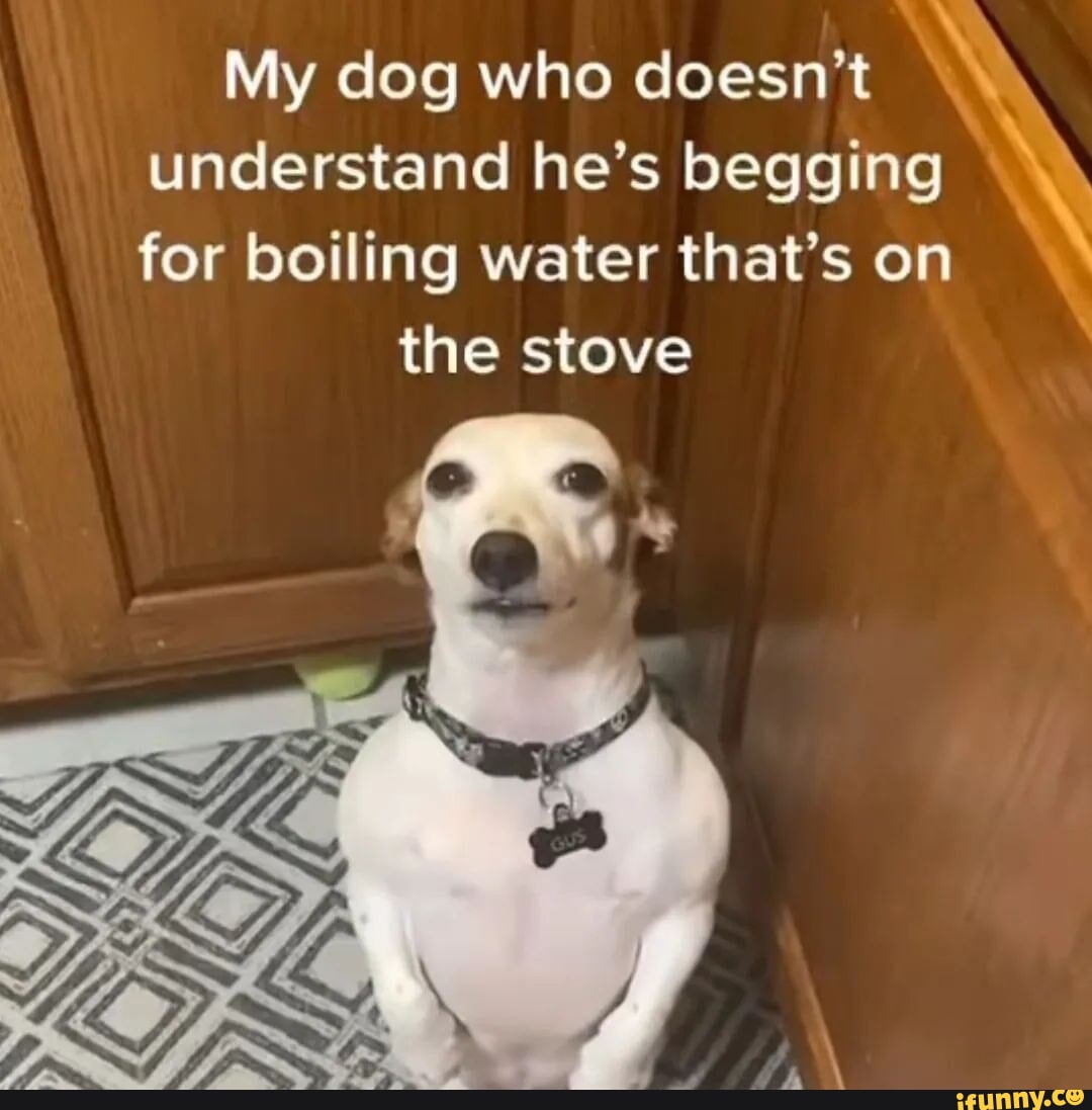 Stove memes. Best Collection of funny Stove pictures on iFunny
