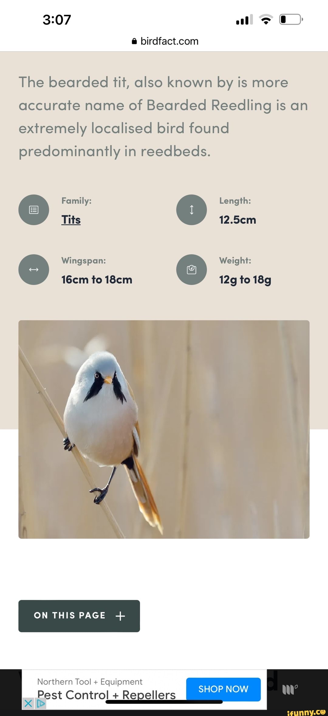 Reedbeds memes. Best Collection of funny Reedbeds pictures on iFunny