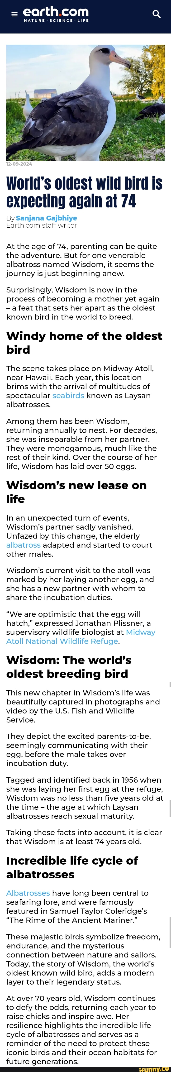 Albatross memes. Best Collection of funny Albatross pictures on iFunny