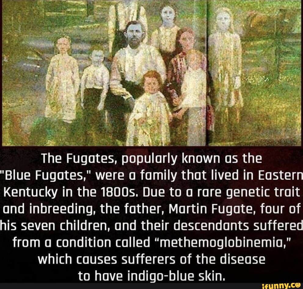 Inbreeding memes. Best Collection of funny Inbreeding pictures on iFunny