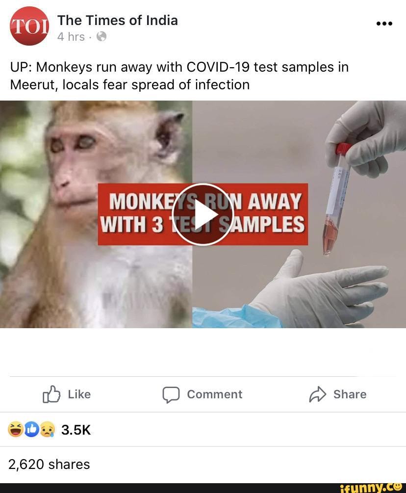 The Times of India UP: Monkeys run away with COVID-19 test samples in ...