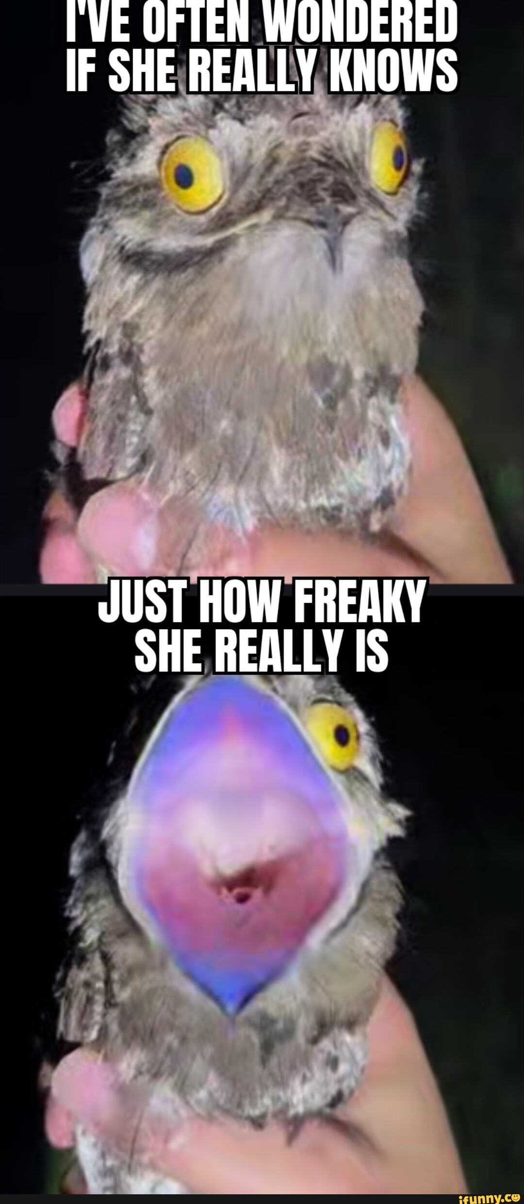 OFTEN WONDERED IF SHE REALLY KNOWS JUST HOW FREAKY SHE REALLY IS - iFunny