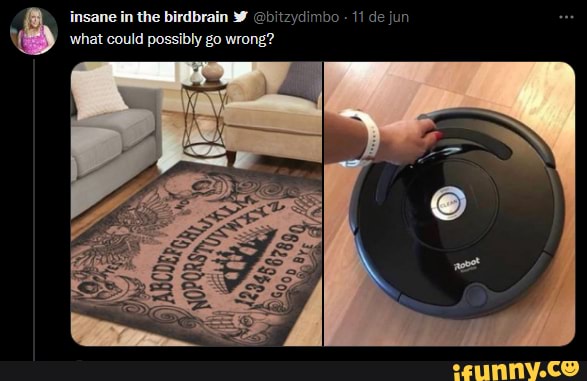 Insane in the birdbrain @bitzydimbo 11 de jun what could possibly go ...