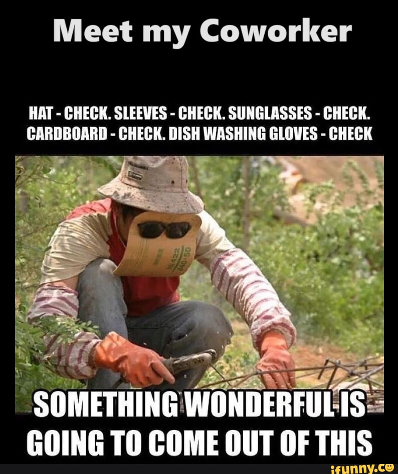 Meet my Coworker HAT - CHECK. SLEEVES - CHECK. SUNGLASSES - CHECK ...