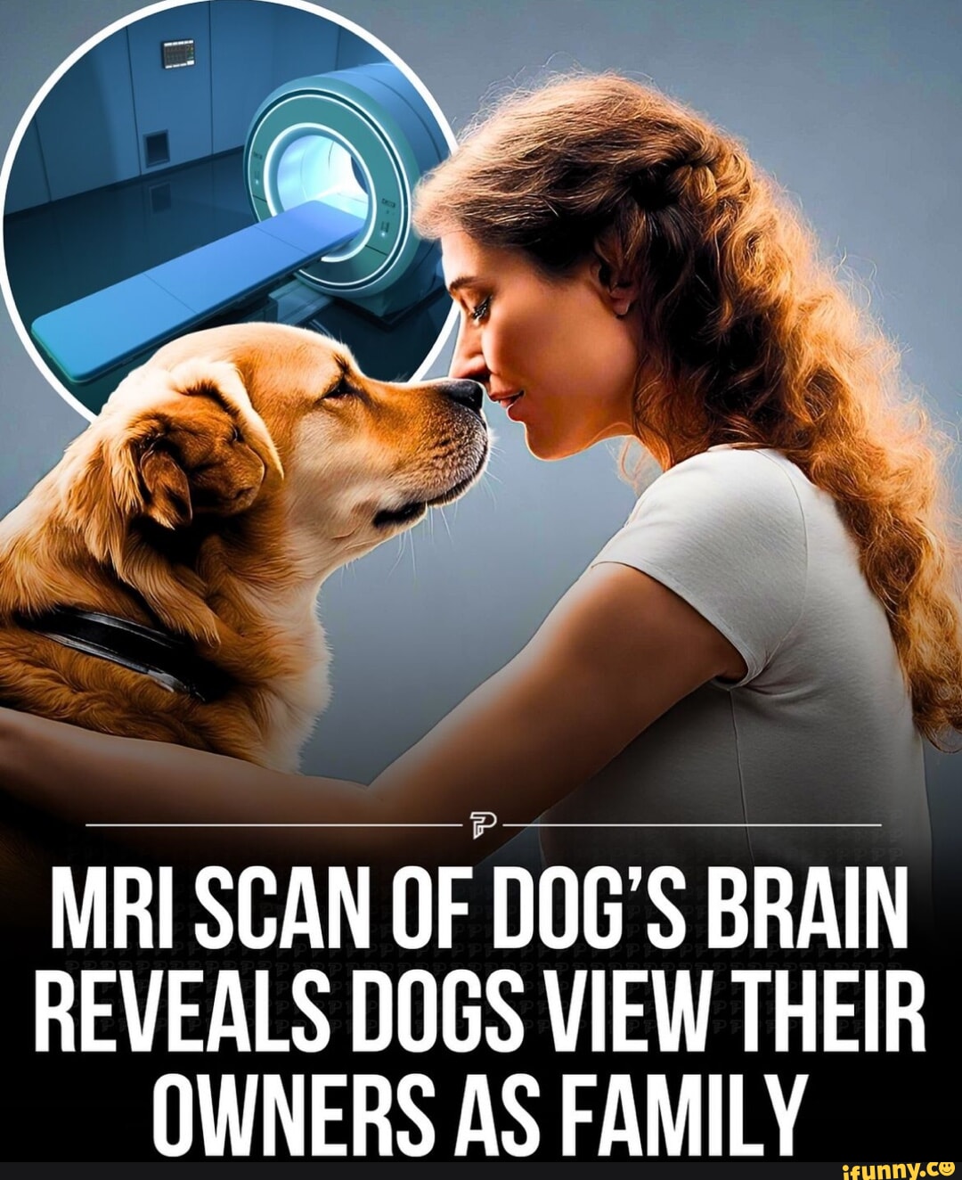 SS MRI SCAN OF DOG'S BRAIN REVEALS DOGS VIEW THEIR OWNERS AS FAMILY ...