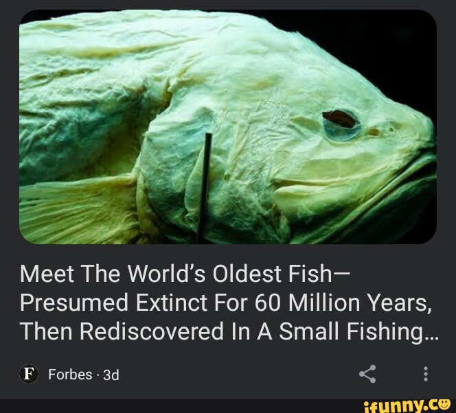 Meet The World's Oldest Fish- Presumed Extinct For 60 Million Years ...