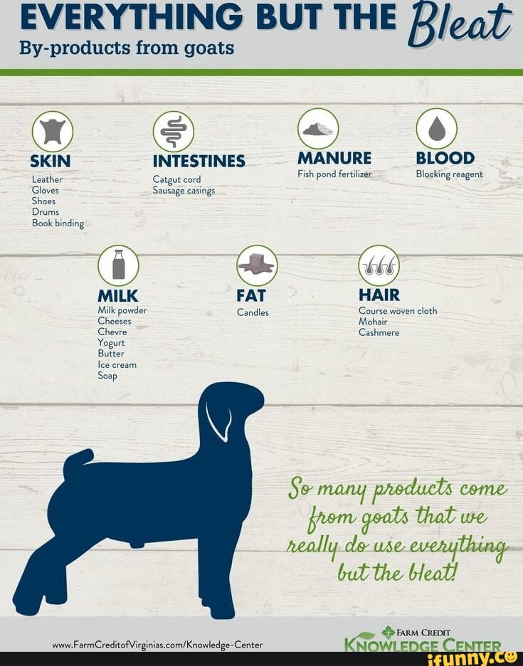 Manure memes. Best Collection of funny Manure pictures on iFunny