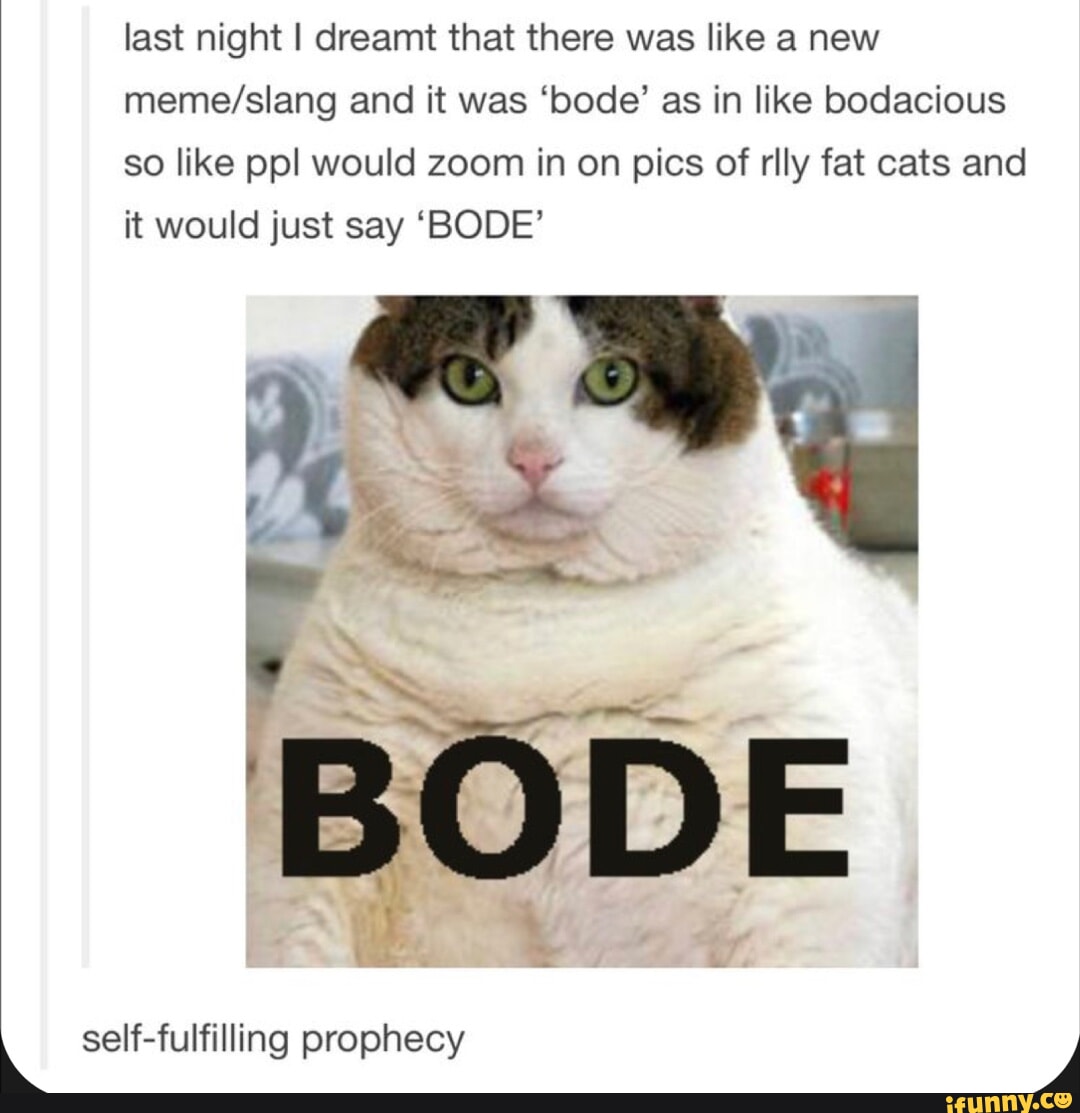 Bodacious memes. Best Collection of funny Bodacious pictures on iFunny