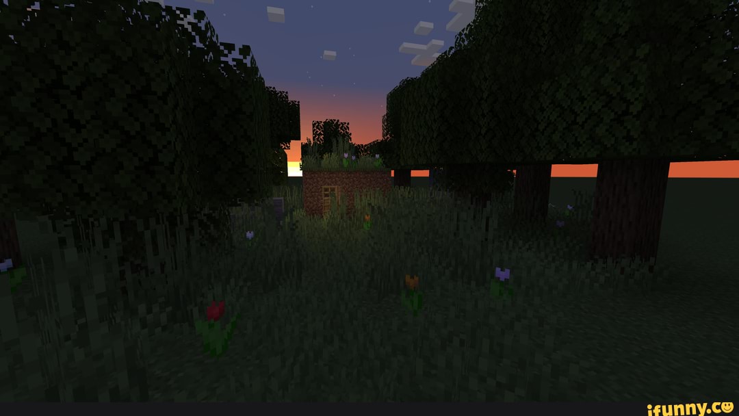 Weird_minecraft_build memes. Best Collection of funny Weird_minecraft ...