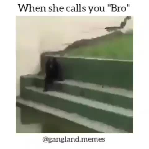 When she calls you "Bro" @ganglandmemes - )