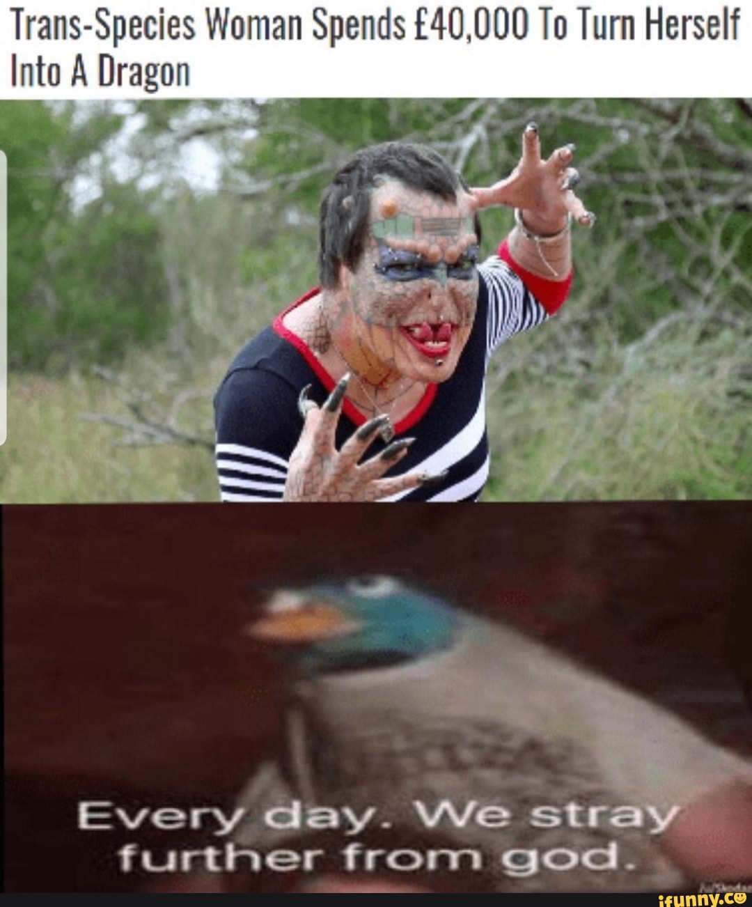 Dragonlady memes. Best Collection of funny Dragonlady pictures on iFunny