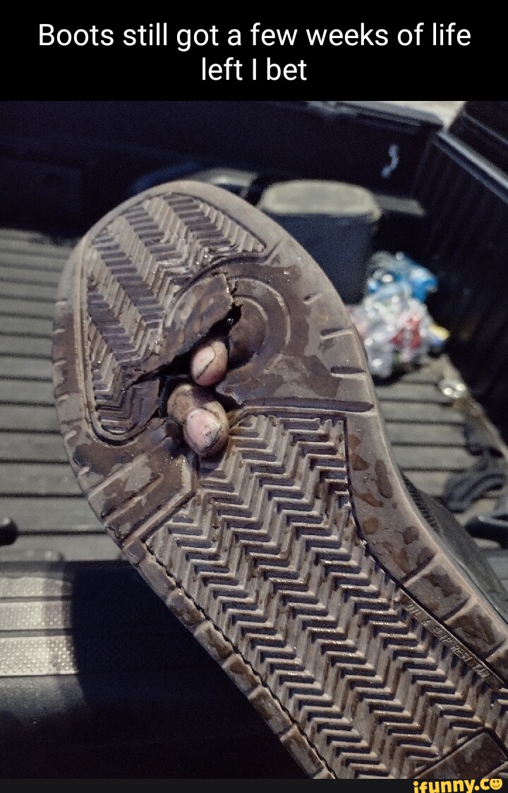 Picture memes KazfVRqLA by veggienoon: 24 comments - iFunny