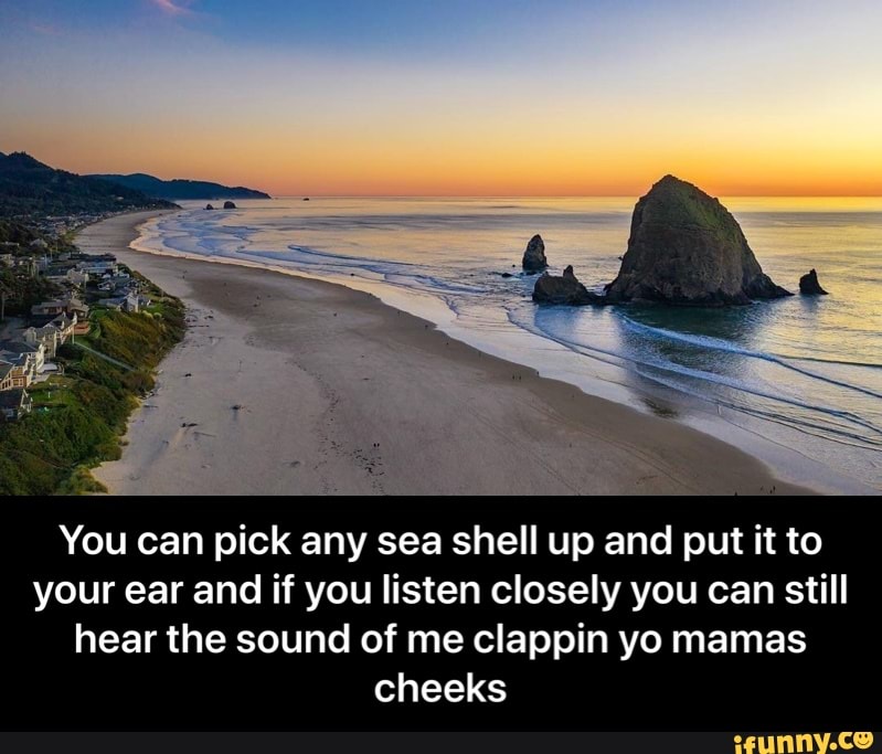 You can pick any sea shell up and put it to your ear and if you listen ...