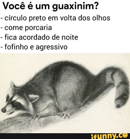 Você é um guaxinim? - círculo preto em volta dos olhos - come porcaria ...