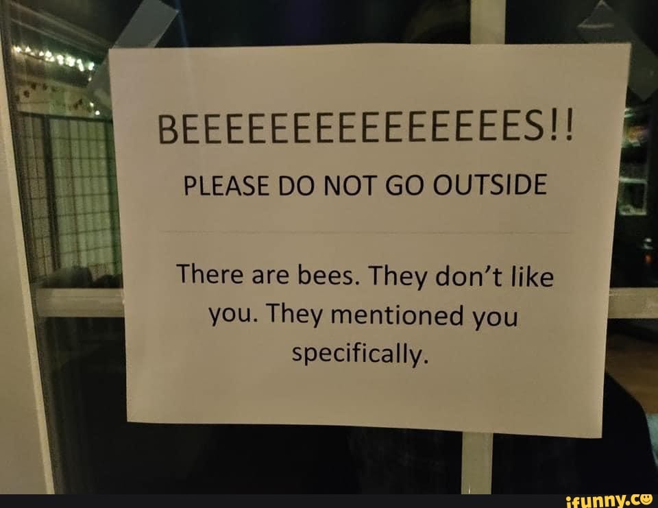 BEEEEEEEEEEEEEEES!! PLEASE DO NOT GO OUTSIDE There are bees. They don't ...