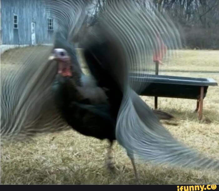476 memes. Best Collection of funny 476 pictures on iFunny
