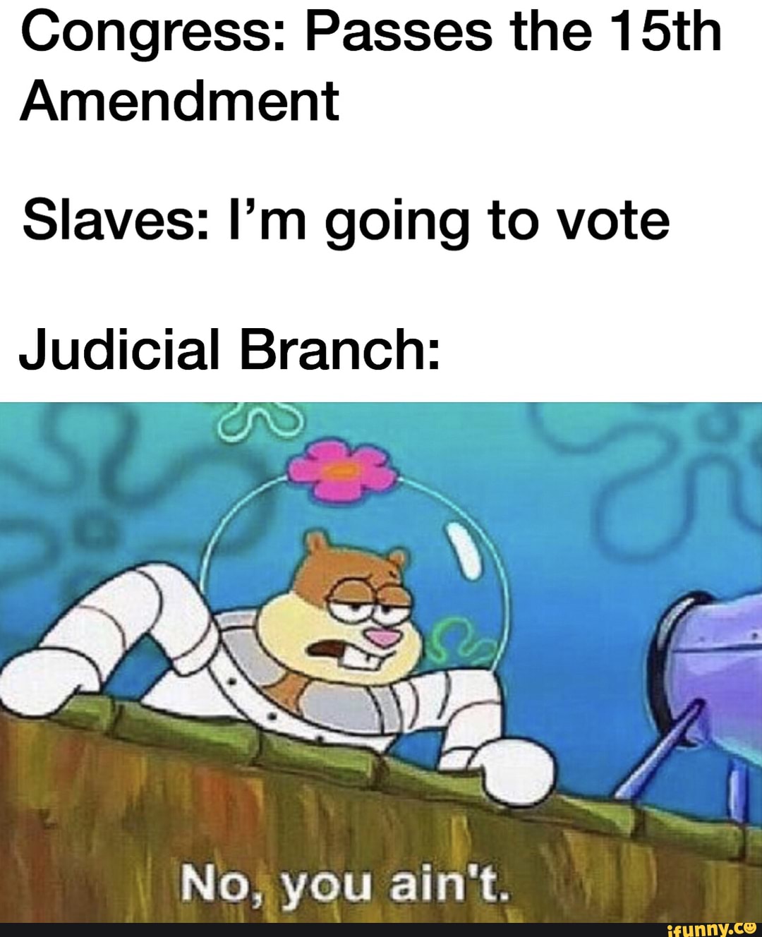 Congress: Passes the 15th Amendment Slaves: I’m going to vote Judicial ...