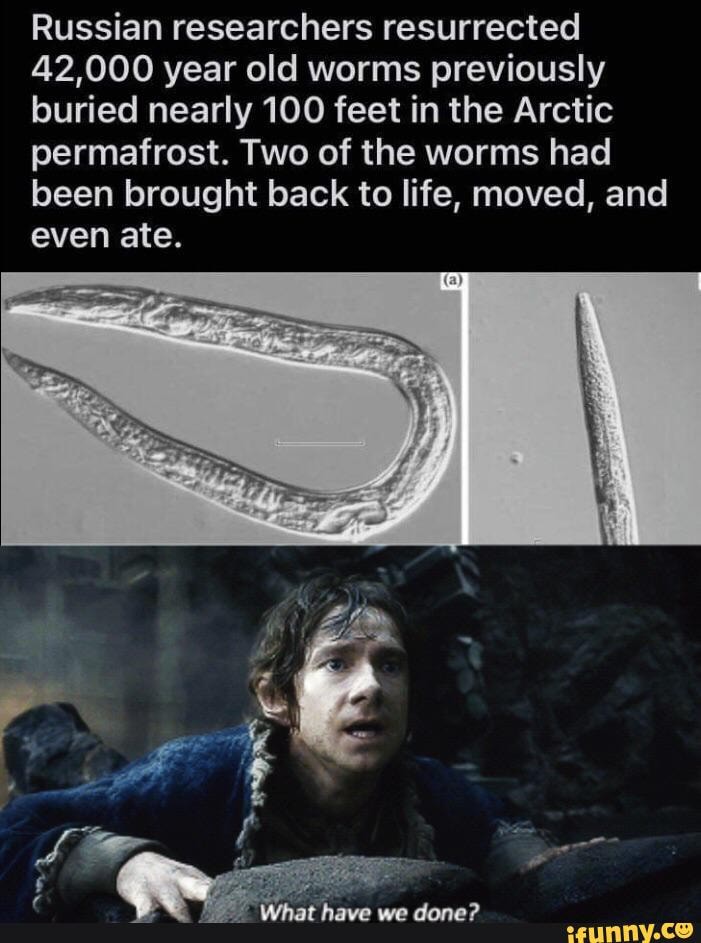Russian researchers resurrected 42,000 year old worms previously buried ...