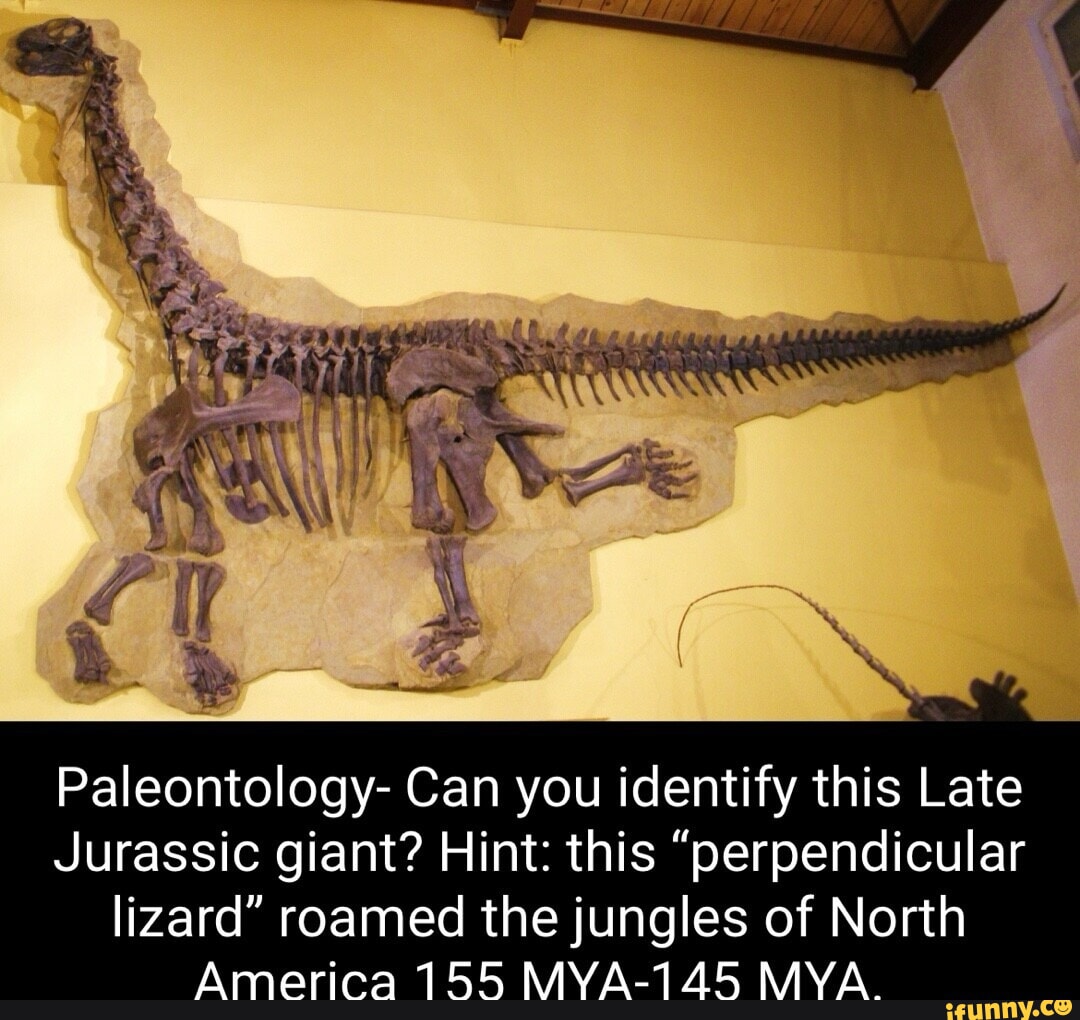 Perpendicular memes. Best Collection of funny Perpendicular pictures on ...