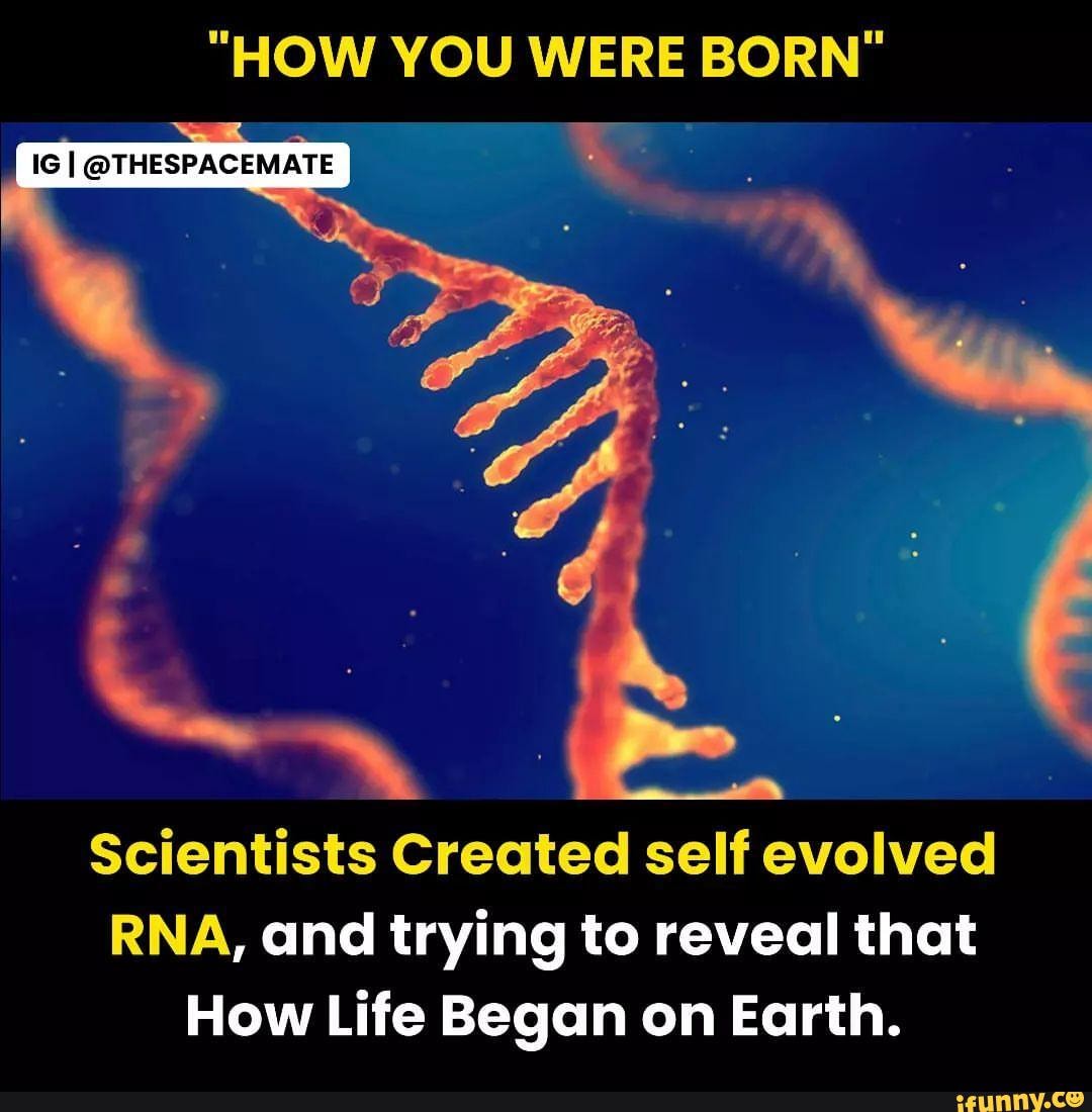 "HOW YOU WERE BORN" IG I @THESPACEMATE Scientists Created self evolved ...