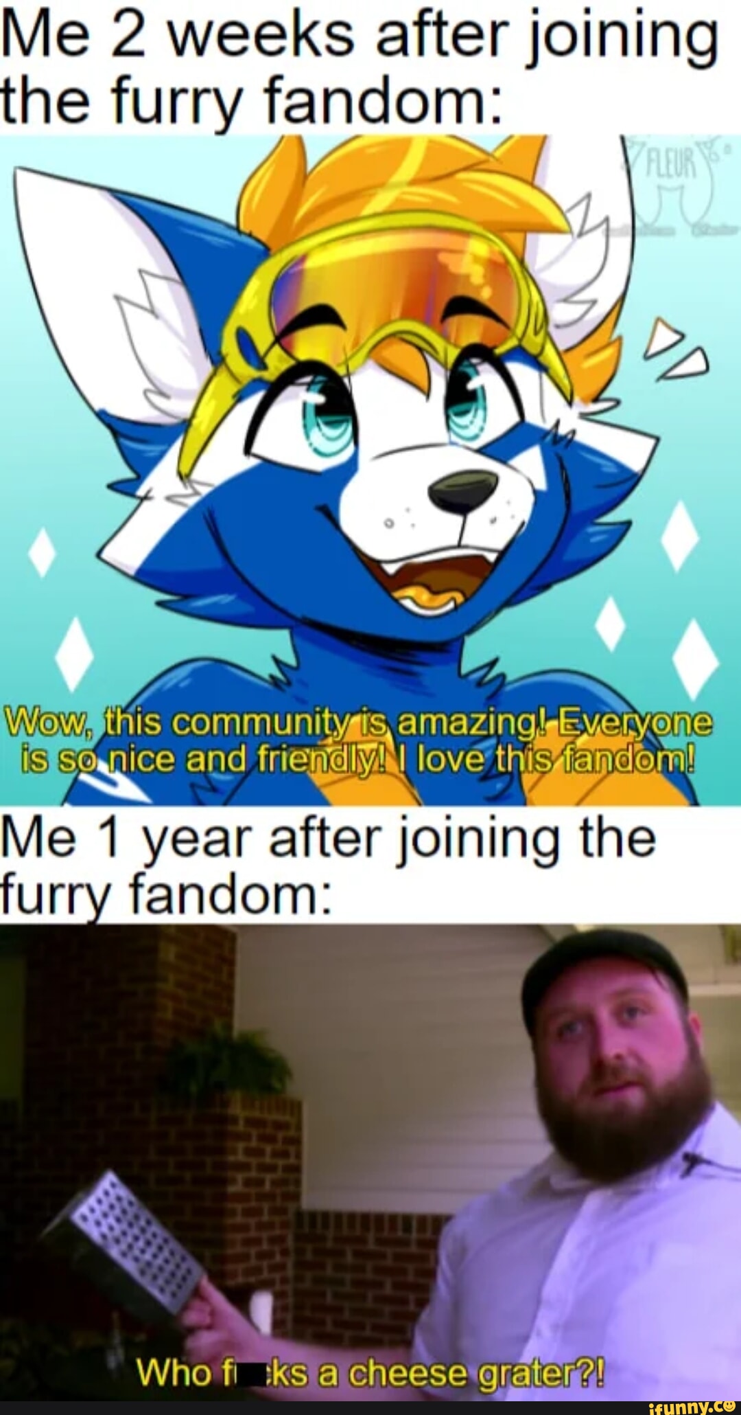 Me 2 weeks after joining the furry fandom Wow, his communitygis amazing ...