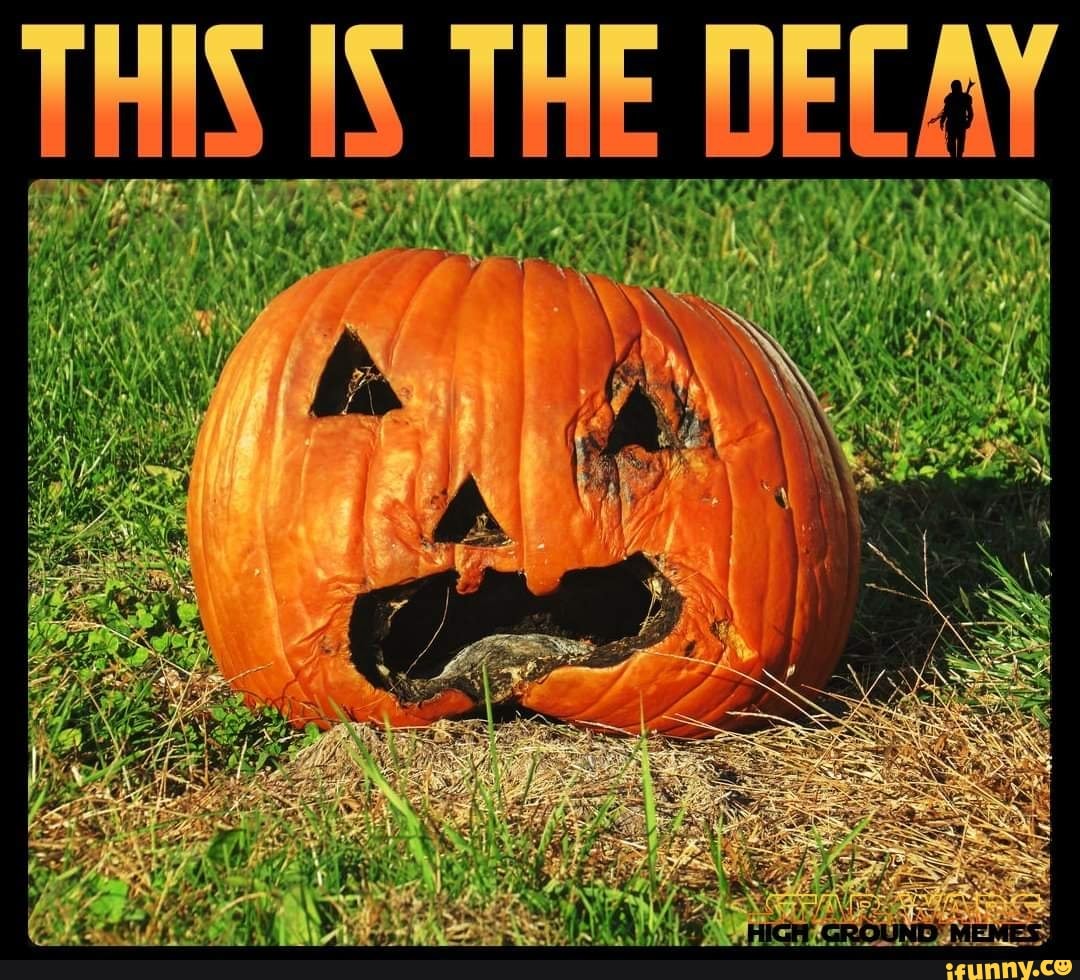 Thisisthedecay memes. Best Collection of funny Thisisthedecay pictures ...