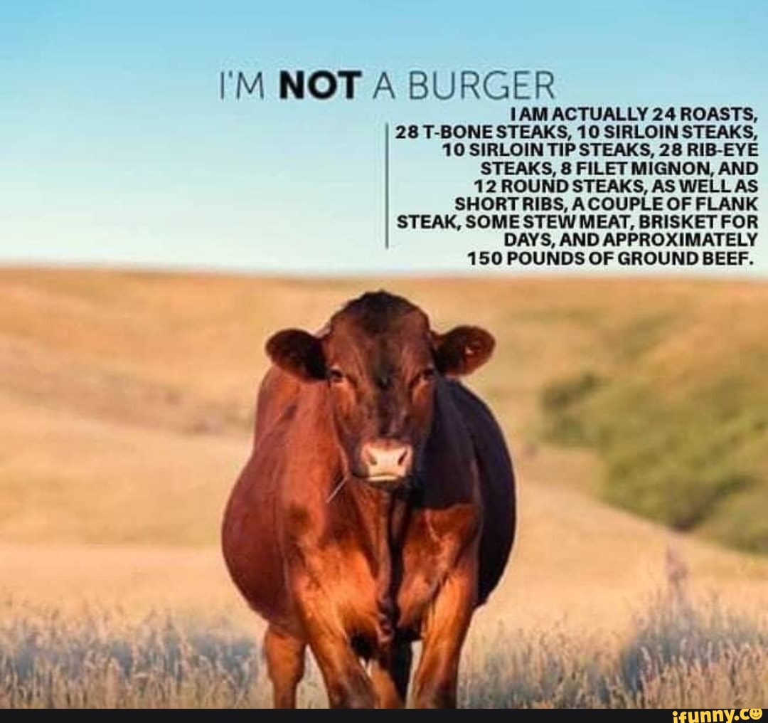 I'M NOT A BURGER IAM ACTUALLY 24 ROASTS, 28 T-BONE STEAKS, 1 0 SIRLOIN ...