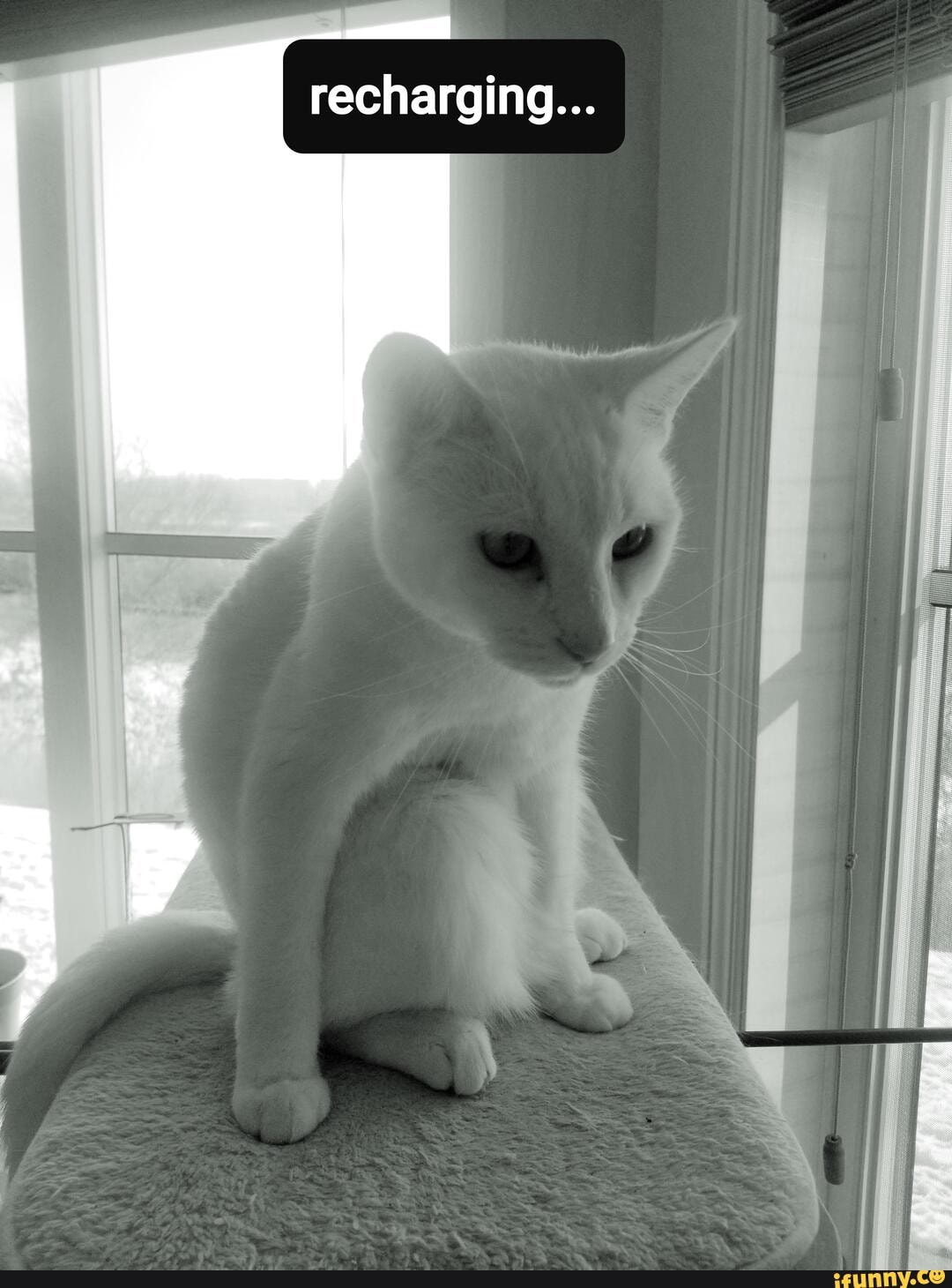 Meme away - recharging... - iFunny