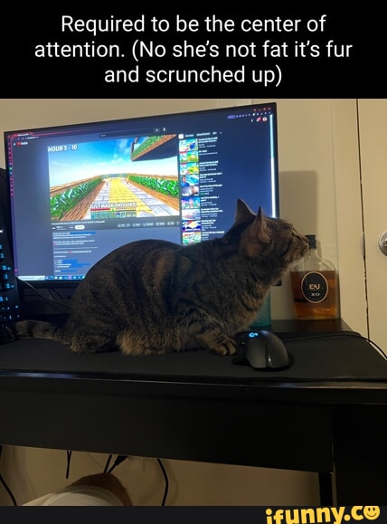 Scrunched memes. Best Collection of funny Scrunched pictures on iFunny