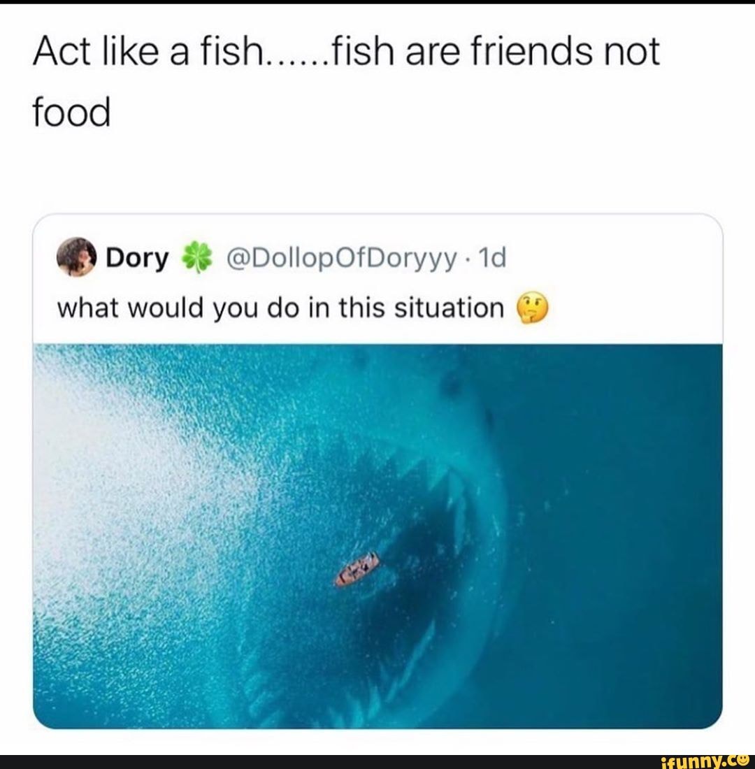 Act like a fish...... fish are friends not food @ Dory ...