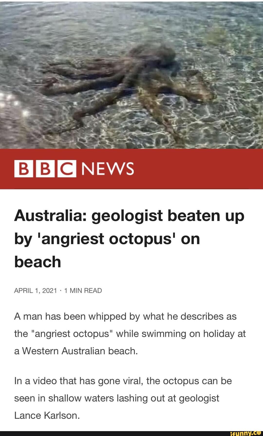 Angry_octopus memes. Best Collection of funny Angry_octopus pictures on ...