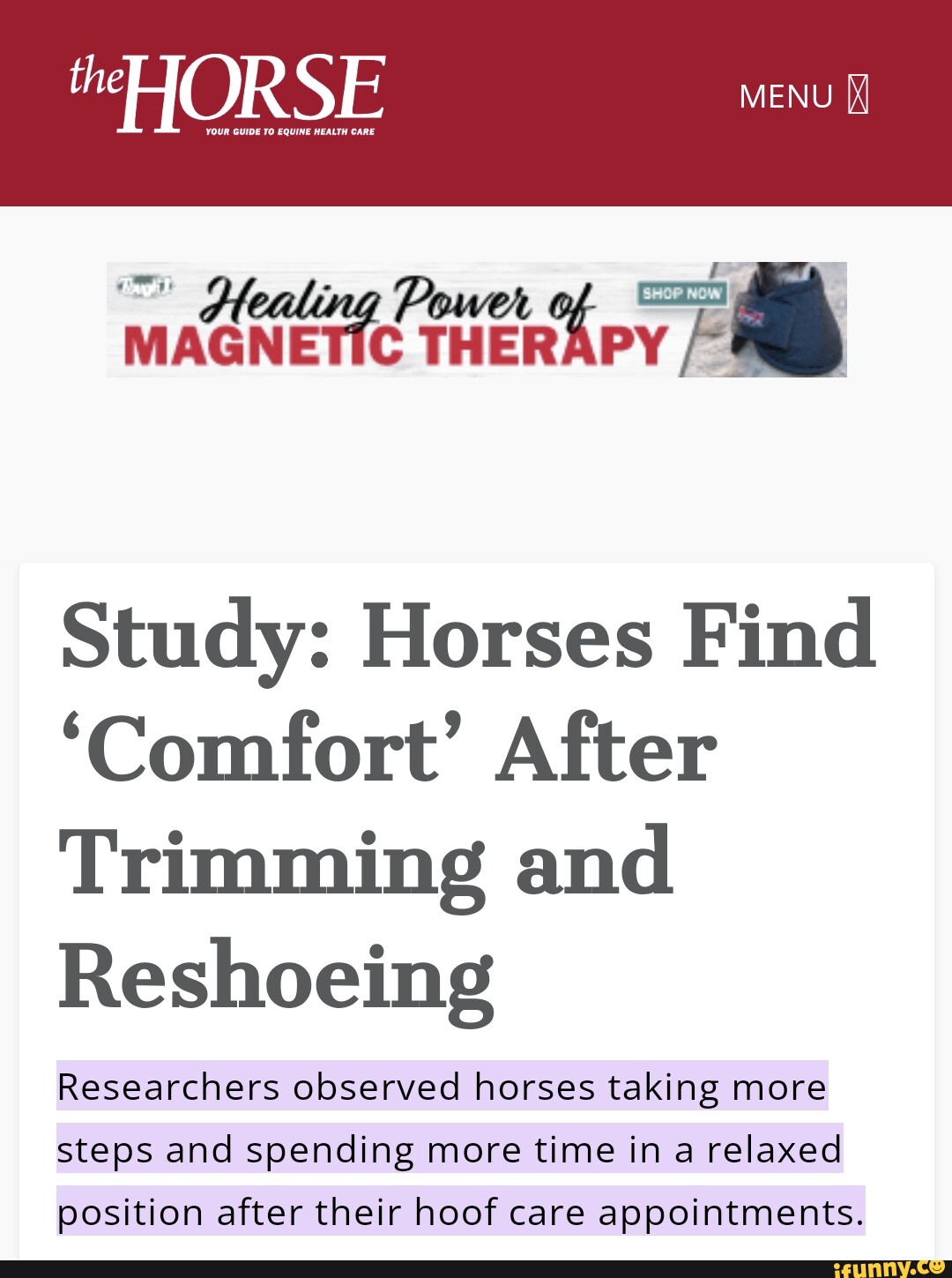 Th HORSE Study: Horses Find 'Comfort' After Trimming and Reshoeing ...