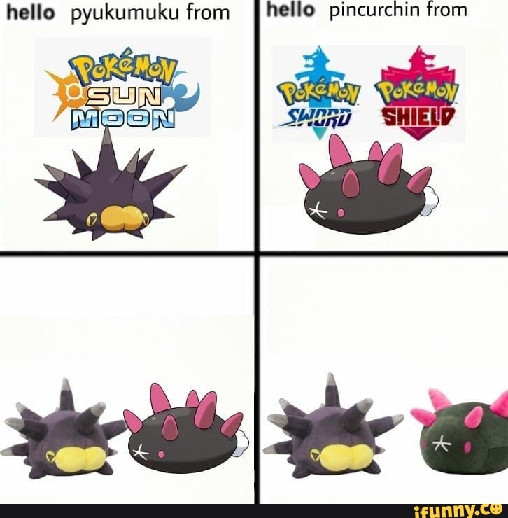 Hello pyukumuku from [hello pincurchin from - iFunny