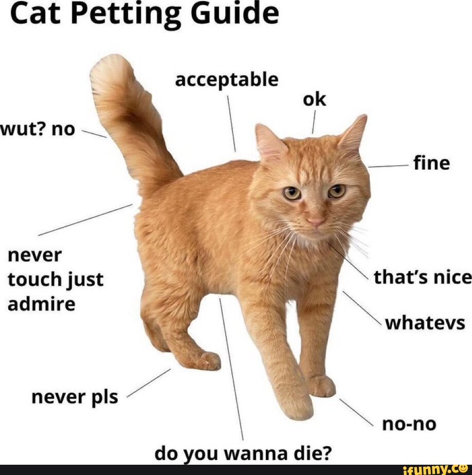 Admire memes. Best Collection of funny Admire pictures on iFunny