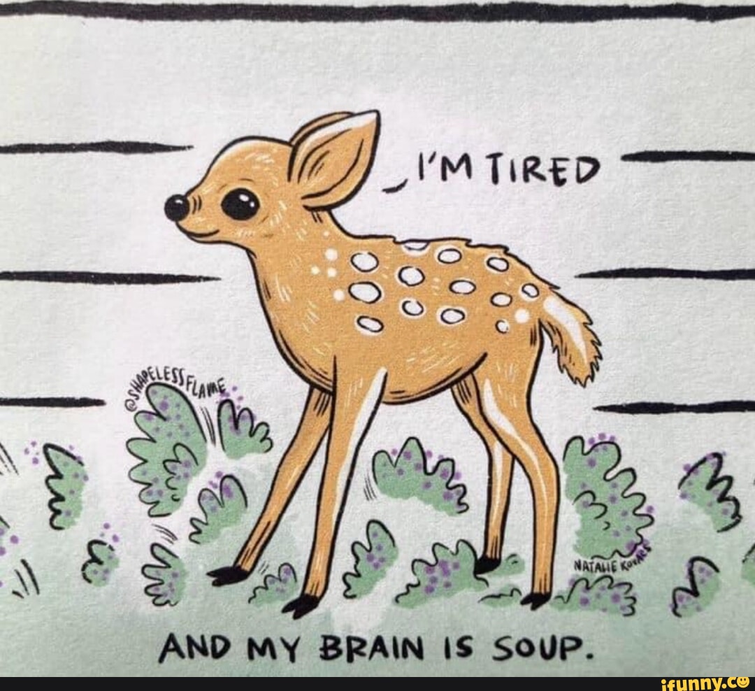 Usmc memes. Best Collection of funny Usmc pictures on iFunny