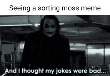 Seeing a sorting ss meme And I thought my jokes were bad - iFunny