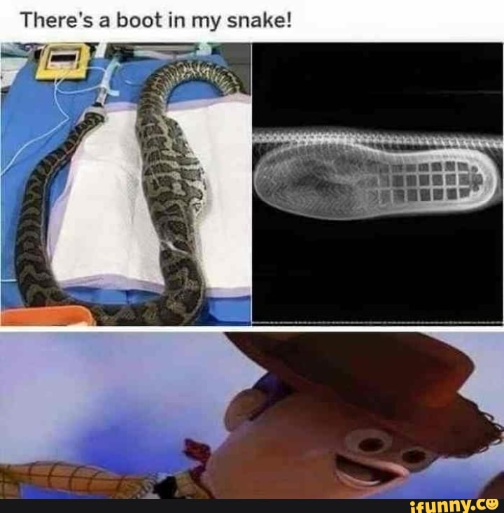 There's a boot in my snake! - iFunny