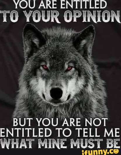 YOU ARE ENTITLED TO OPINION ARE ENTITLED TO TELL ME WHAT MINE MUST BE ...