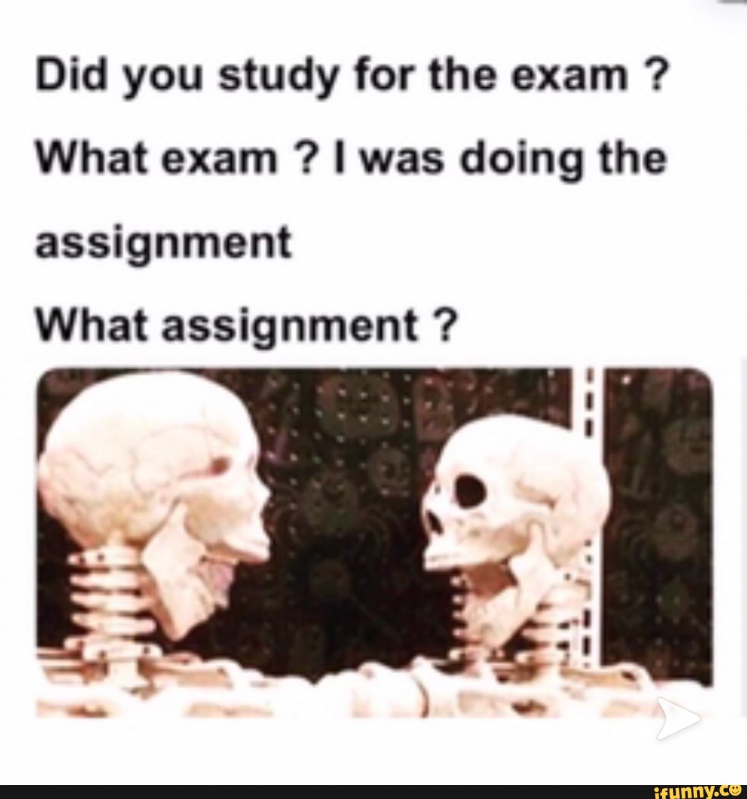 Did you study for the exam ? What exam ? I was doing the assignment ...