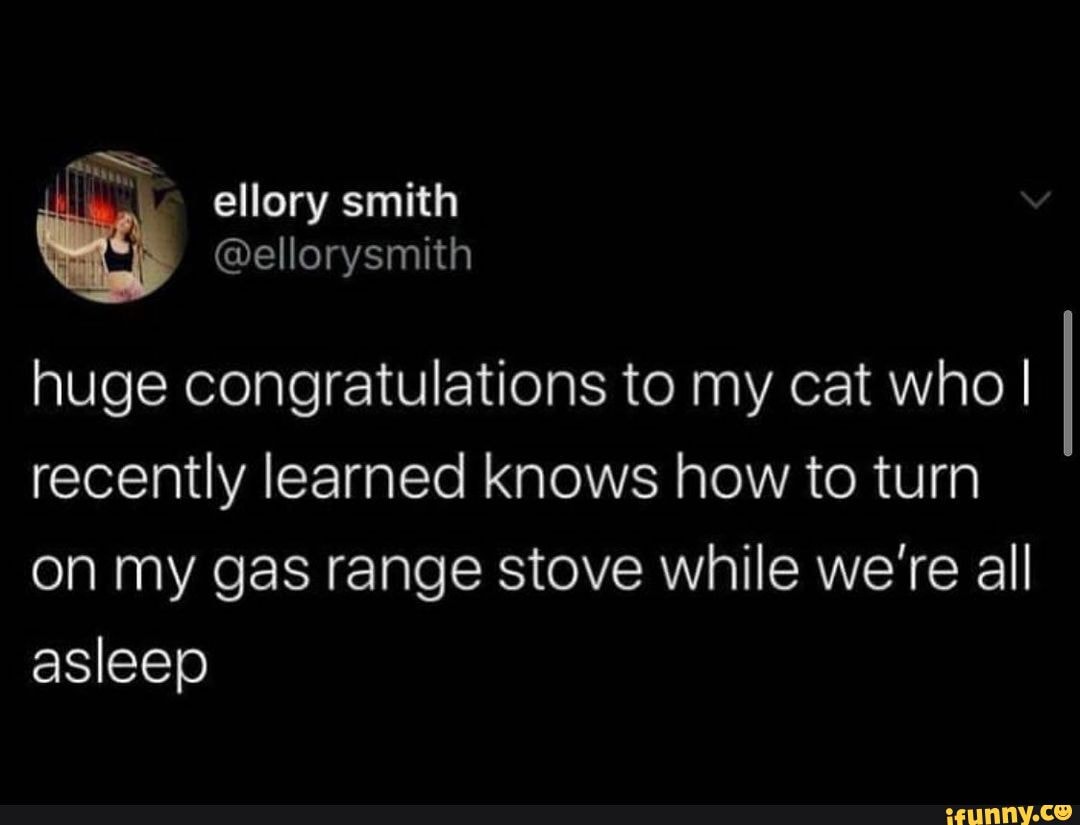 Ellory smith @ellorysmith huge congratulations to my cat who I recently ...