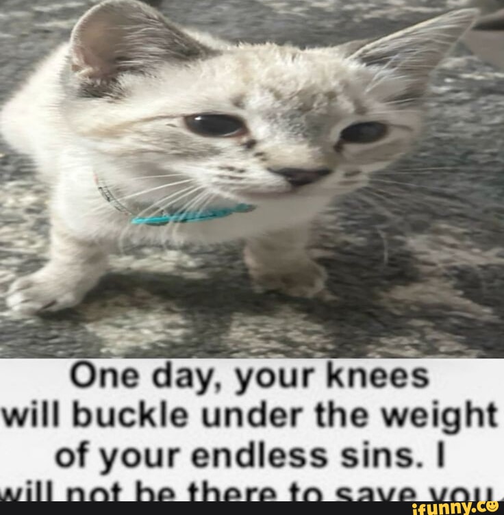 Buckle memes. Best Collection of funny Buckle pictures on iFunny