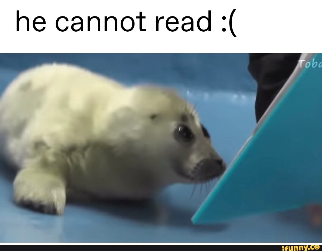 Video memes tzHtq5FMA by UprightCitizensBrigade - iFunny