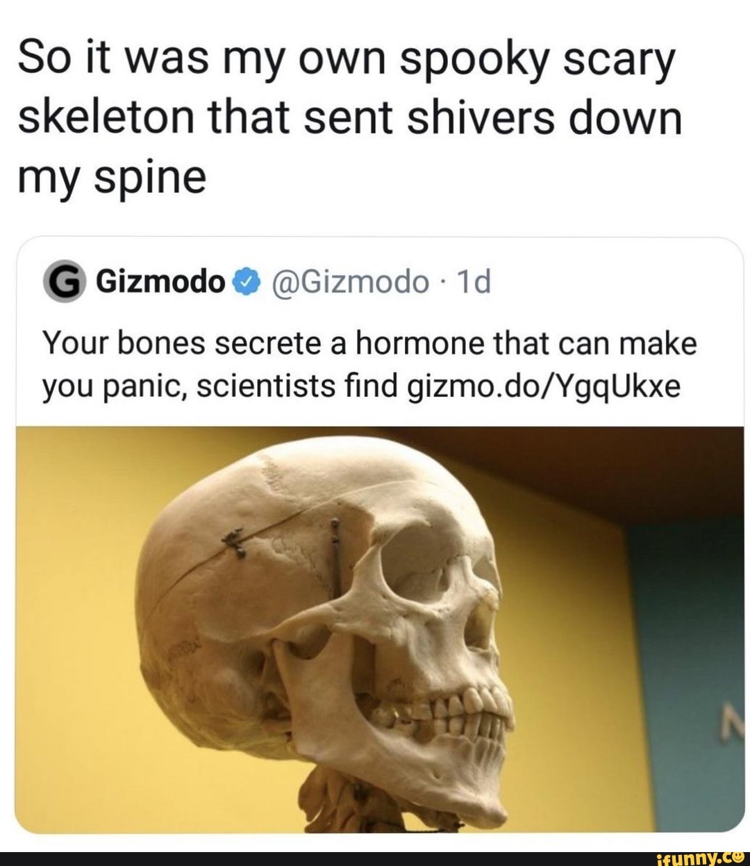 So it was my own spooky scary skeleton that sent shivers down my spine ...