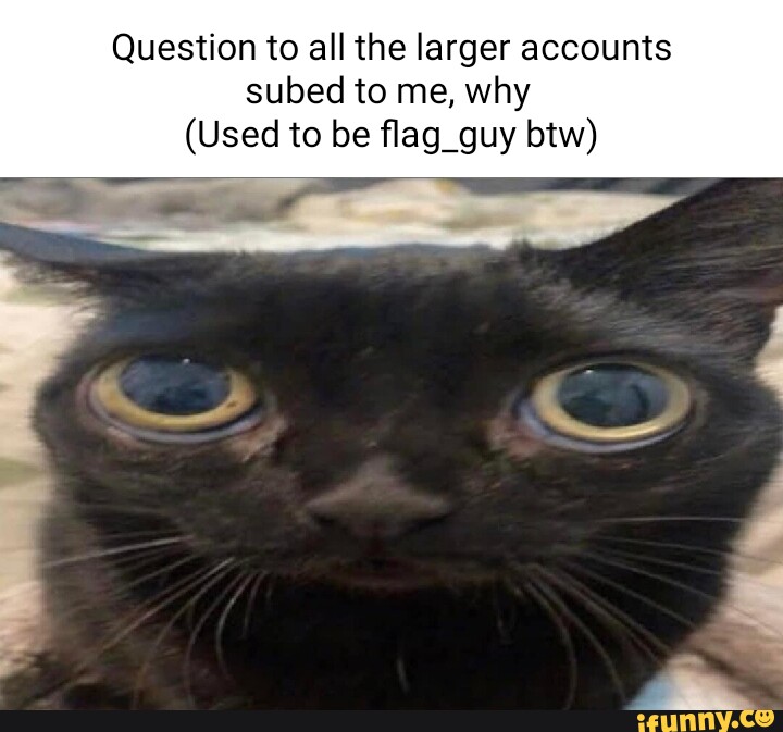 Subed memes. Best Collection of funny Subed pictures on iFunny