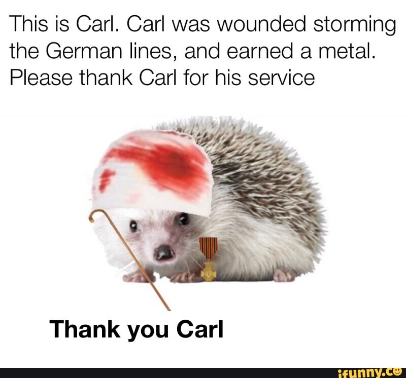 This is Carl. Carl was wounded storming the German lines, and earned a ...