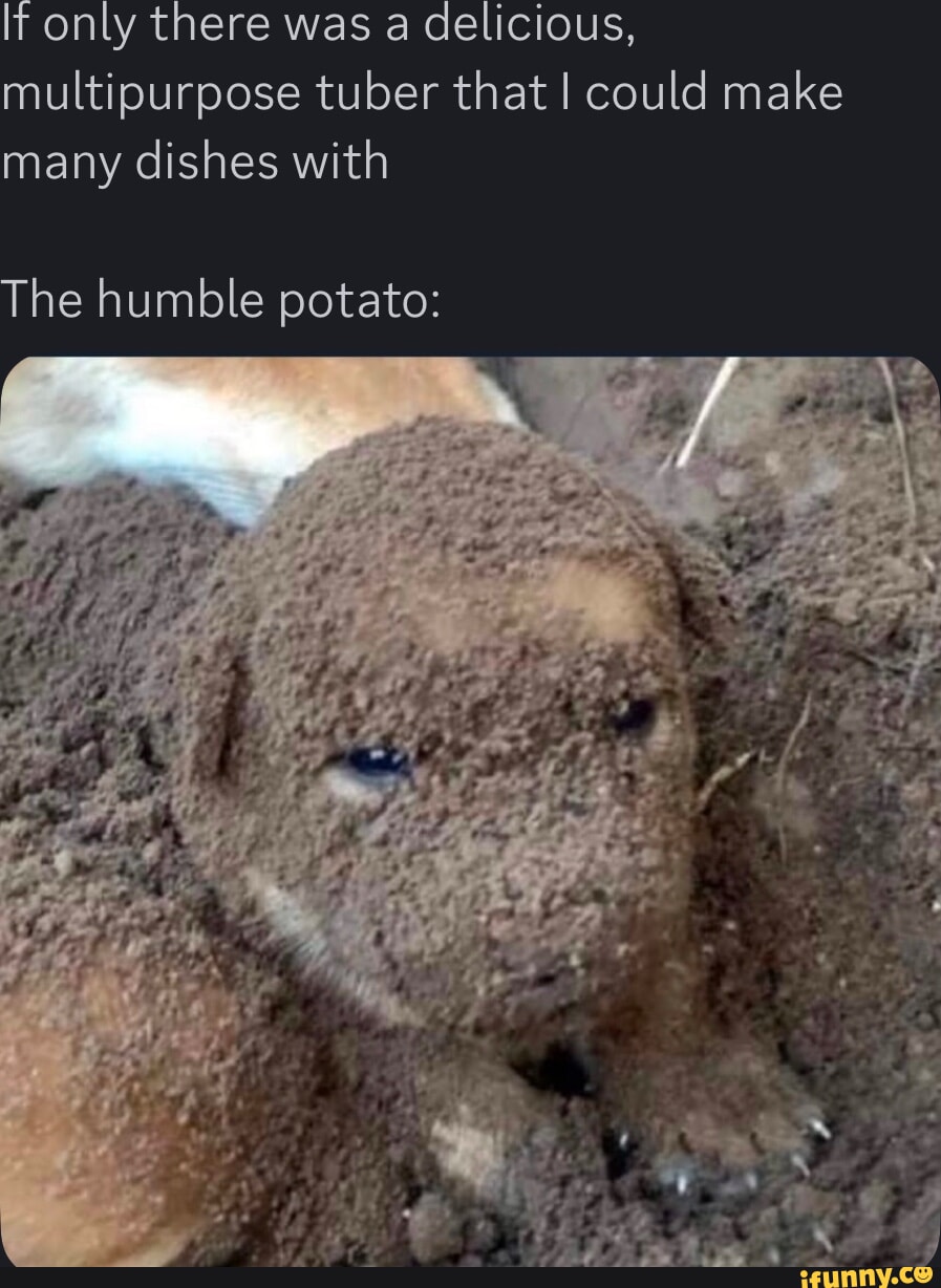 Picture memes IW8wpSK1C by LostEchos: 29 comments - iFunny