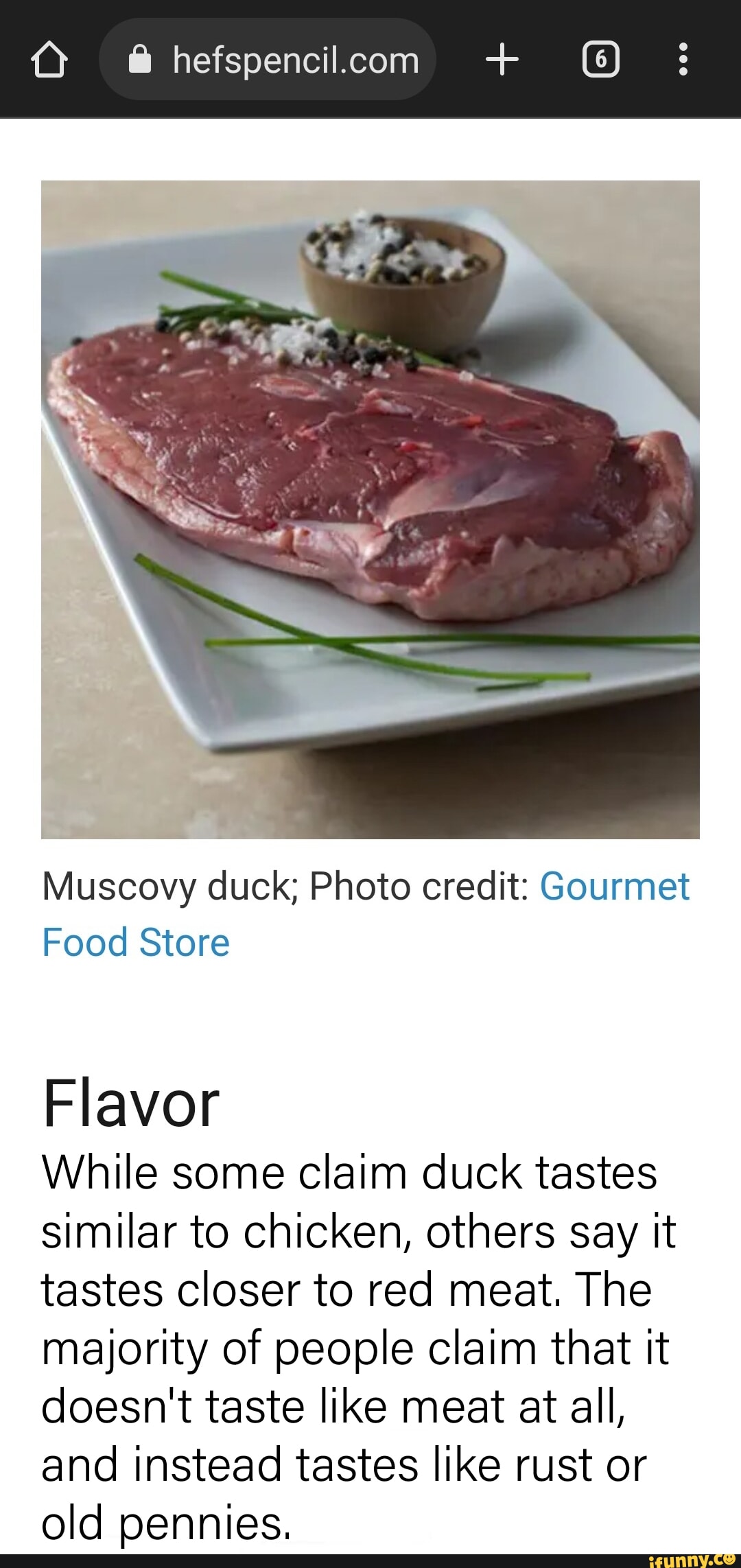 Muscovy memes. Best Collection of funny Muscovy pictures on iFunny