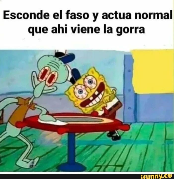 Esconde el faso y actua normal que ahi viene la gorra - iFunny