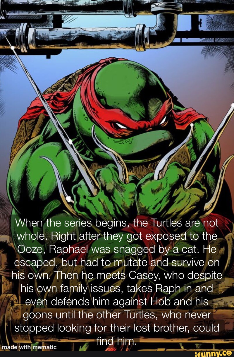 When the series begins. the Turtles are not whole. Right after they got ...