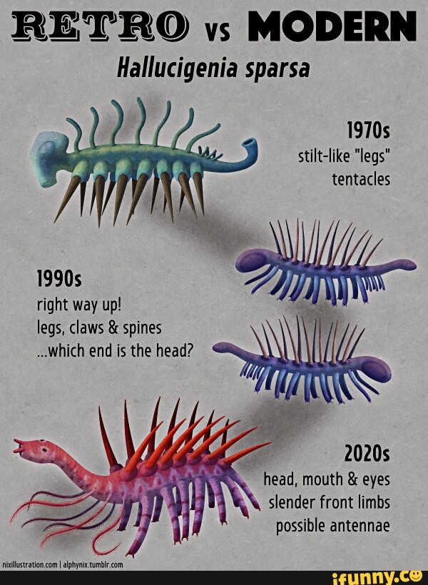 Hallucigenia memes. Best Collection of funny Hallucigenia pictures on ...